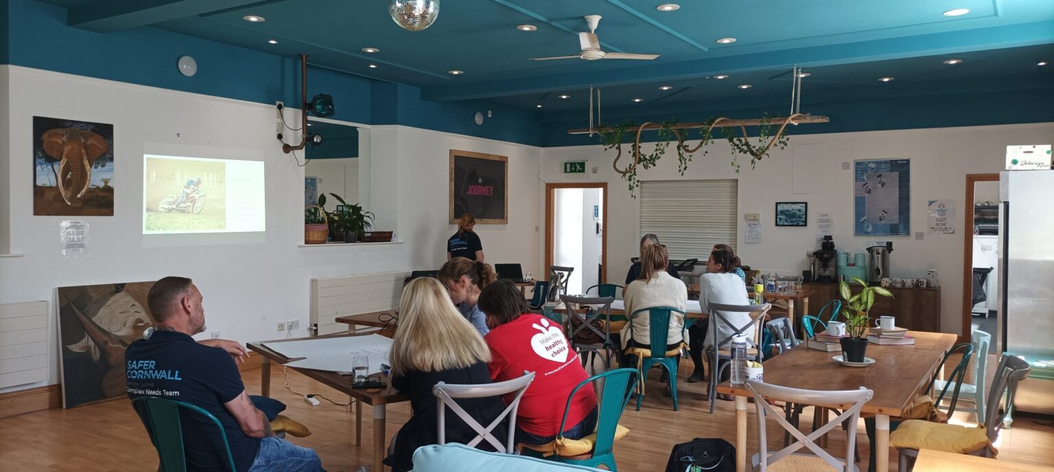 COMPLEX NEEDS TEAM. CO-PRODUCTION & COLLABORATION WORKSHOPS - Safer ...