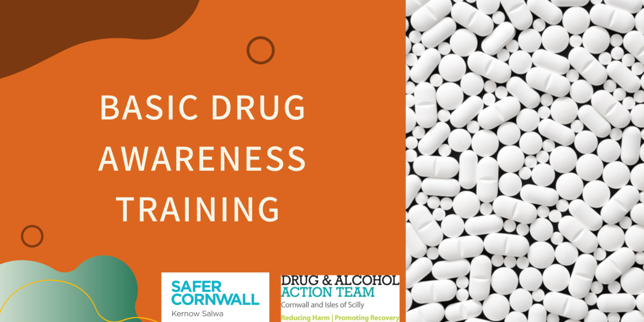 Safer Cornwall & DAAT Training Programme Flyer - Safer Cornwall