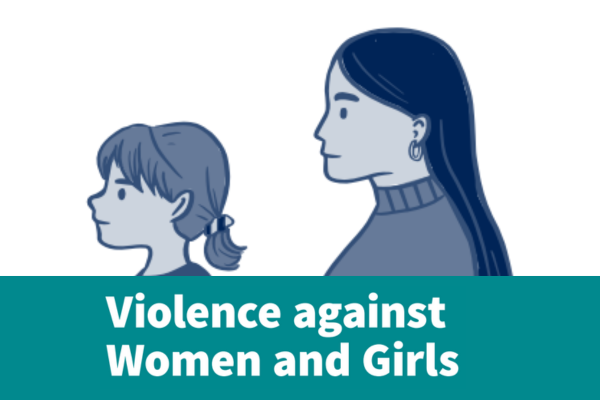 VAWG training for Cornwall Council members - Safer Cornwall