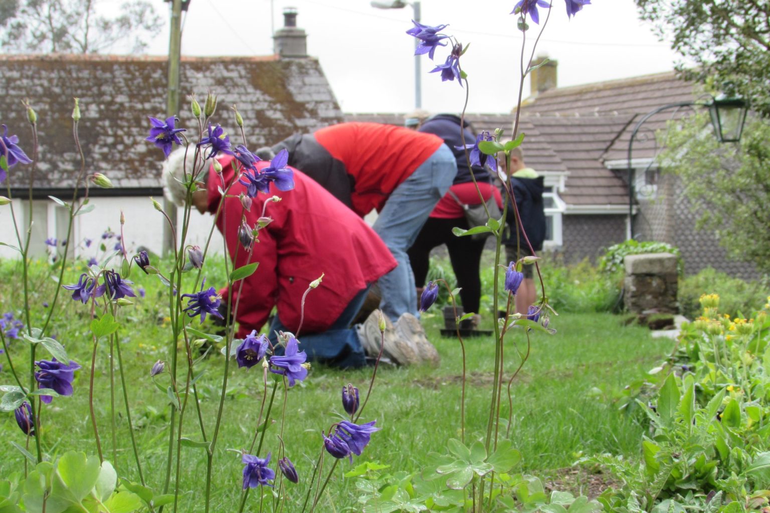 Cormac Volunteer Scheme - Safer Cornwall